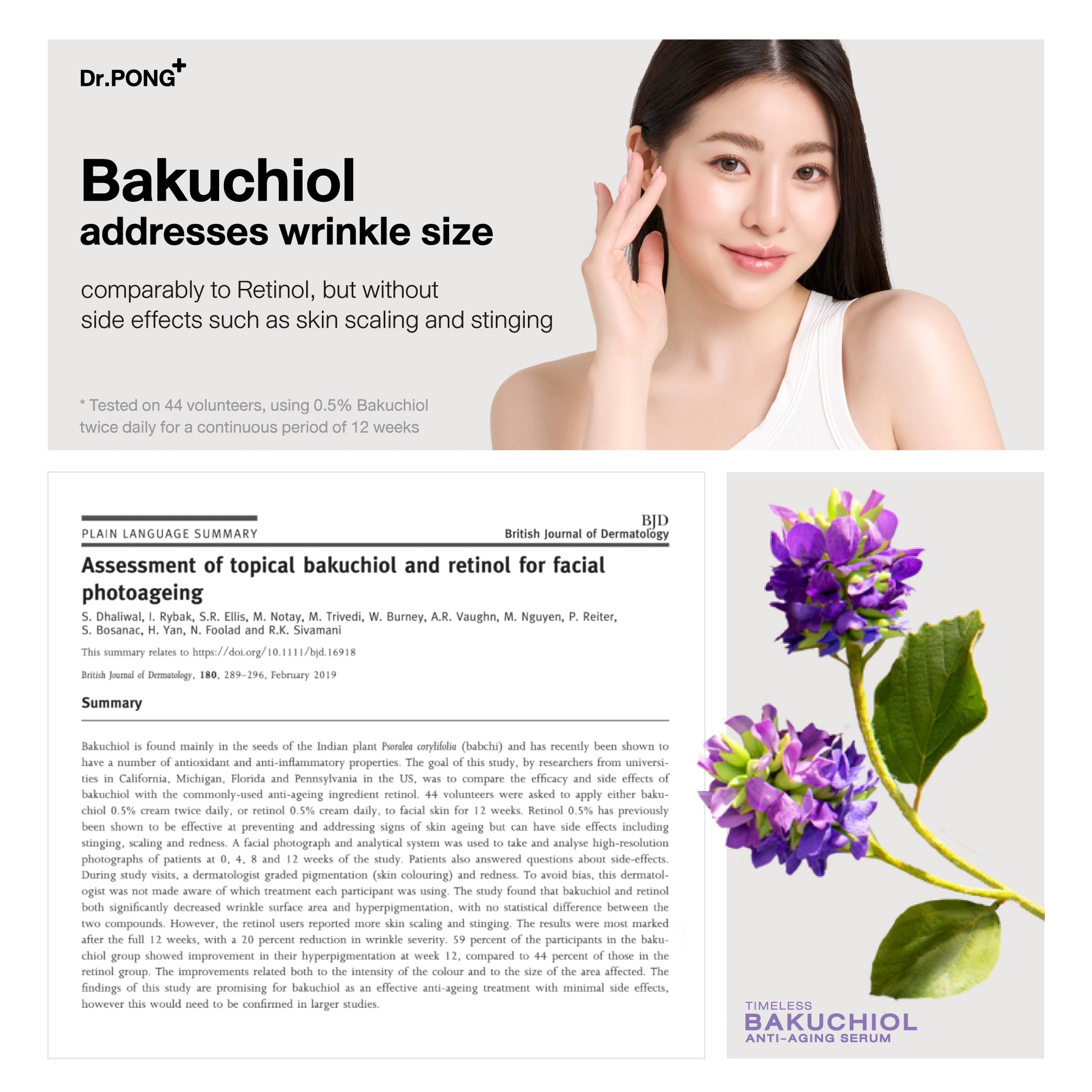 Dr.PONG official – Dr.Pong